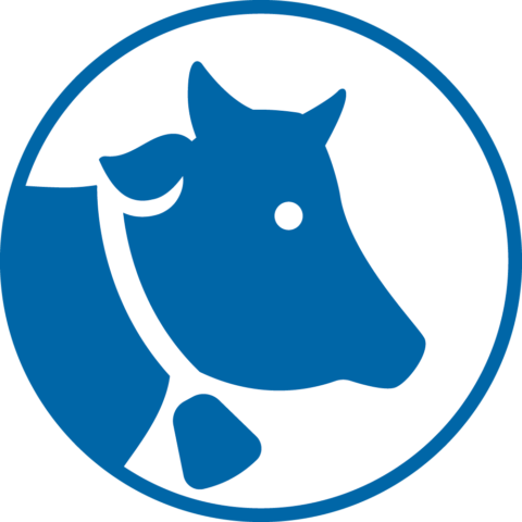 Tierschnitt Rind | ZIEGLER